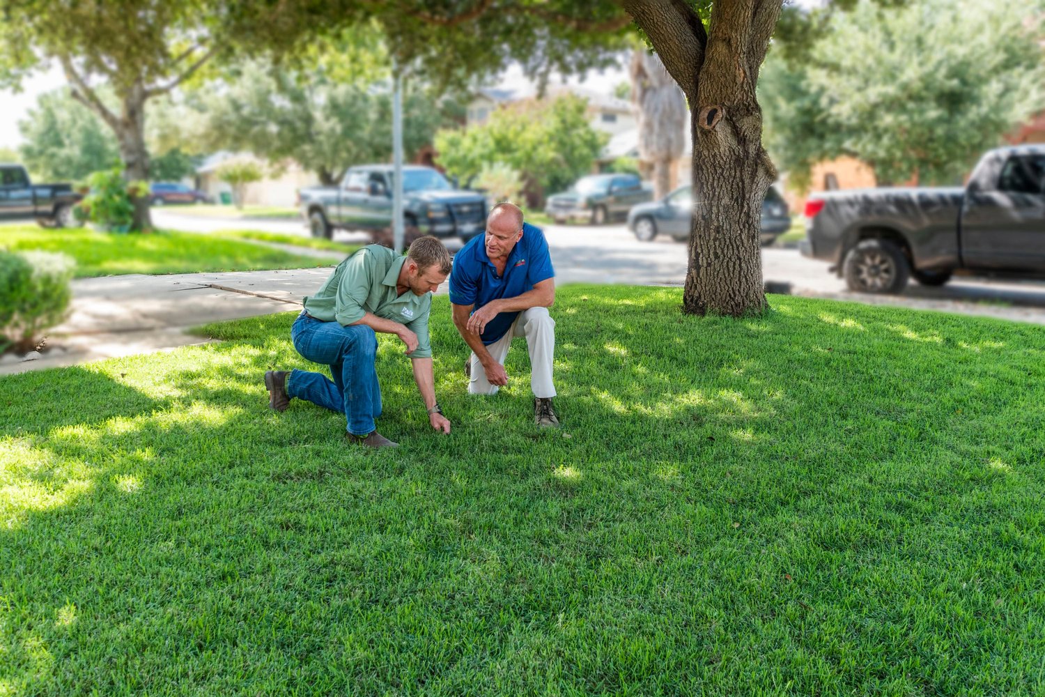 Dallas-Fort Worth Lawn Fertilization and Weed Control Services ...