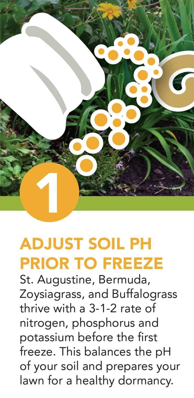 Preparing Your Lawn for Winter & Dormancy | Emerald Lawns