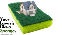 Your Lawn is Like a Sponge | Emerald Lawns