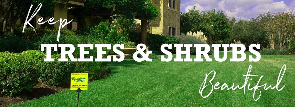 How to Prune Trees & Shrubs in Your Texas Landscape | Emerald Lawns