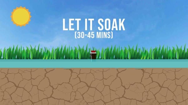Cycle and Soak Watering Method