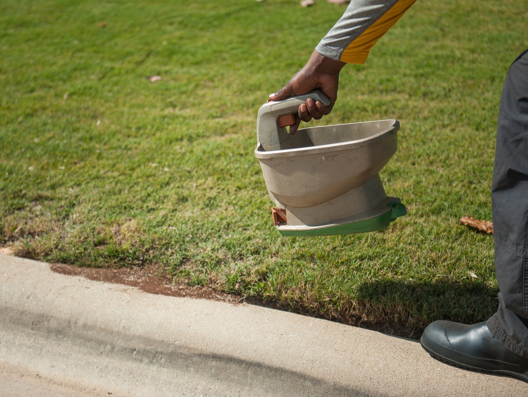 Fire Ant Control Services | Emerald Lawns