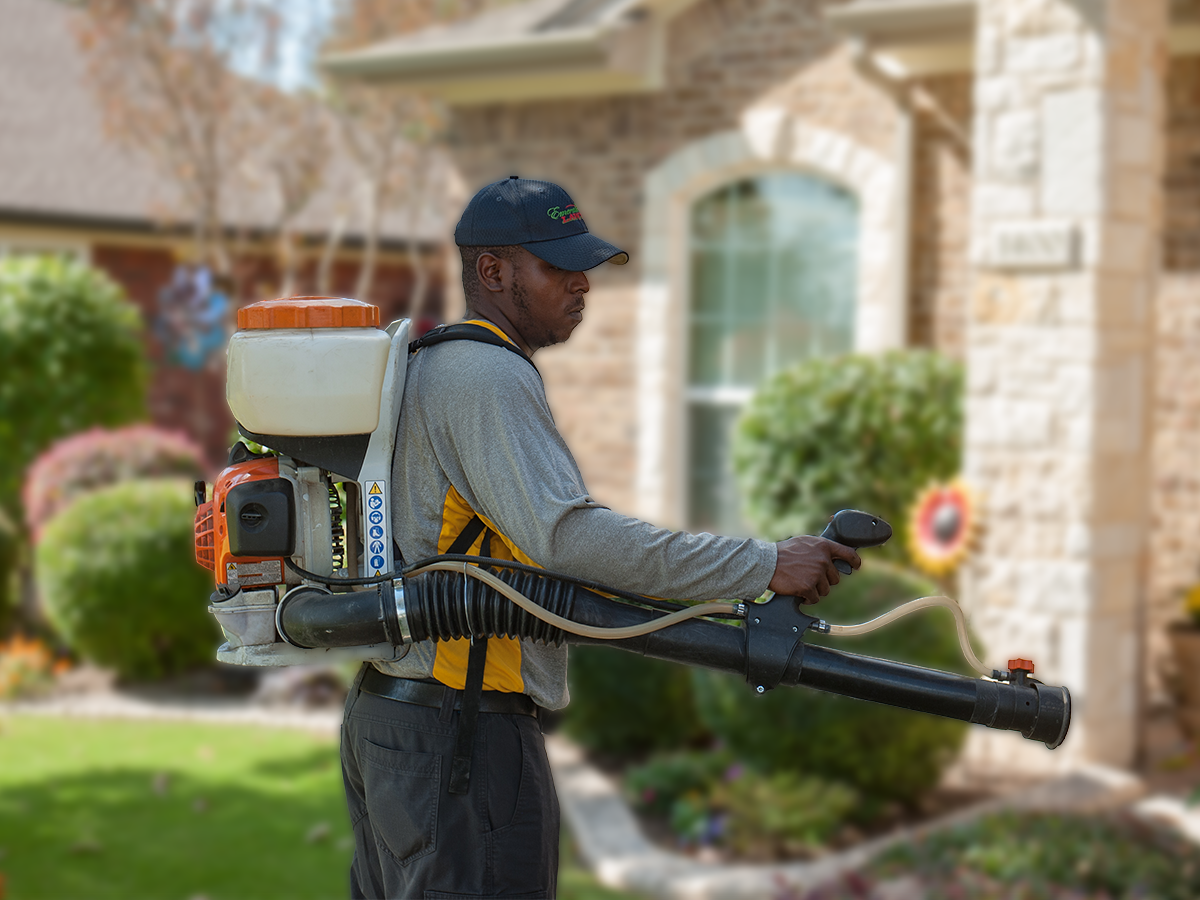 Central Texas Mosquito Control | Emerald Lawns