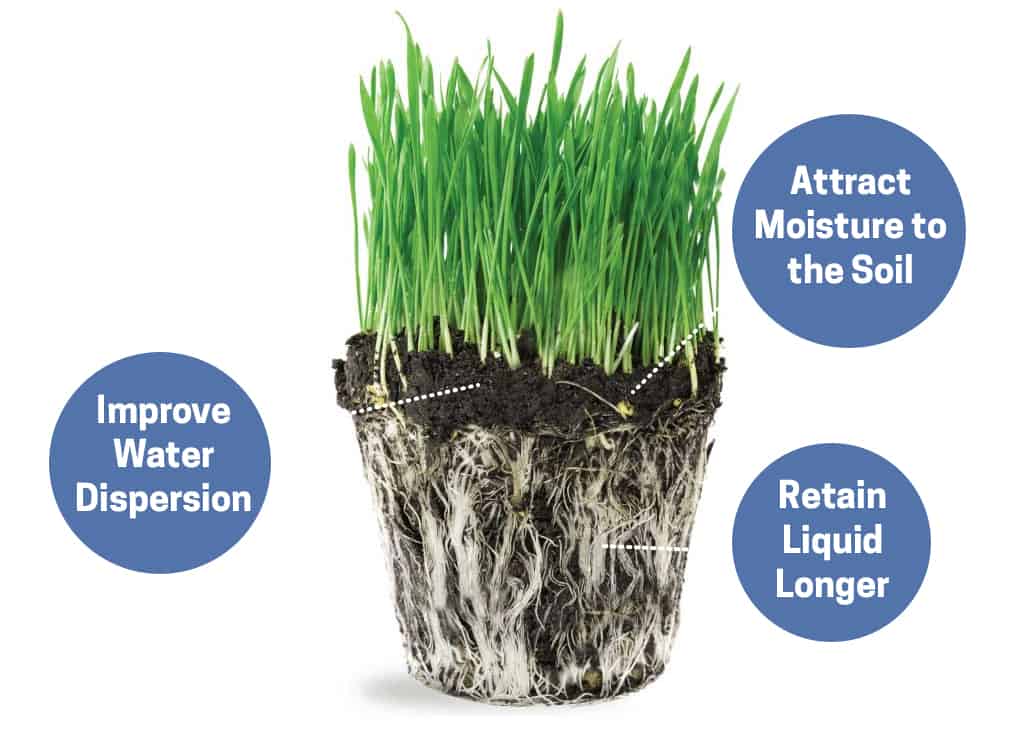 Lawn Water Retention Services | Emerald Lawns