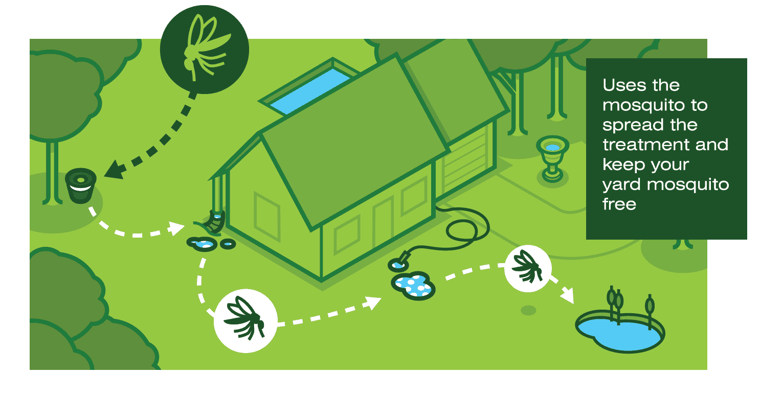 Which Mosquito Control Option is Best for You? | Emerald Lawns